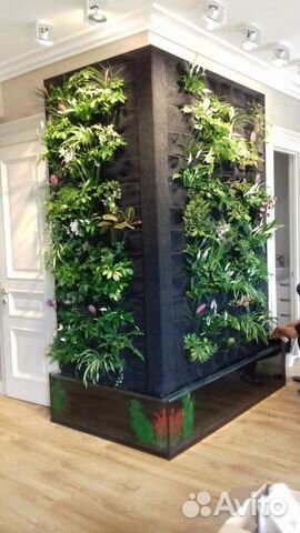 Обслуживание (Чистка ) Аквариумов Спб или Лен Об