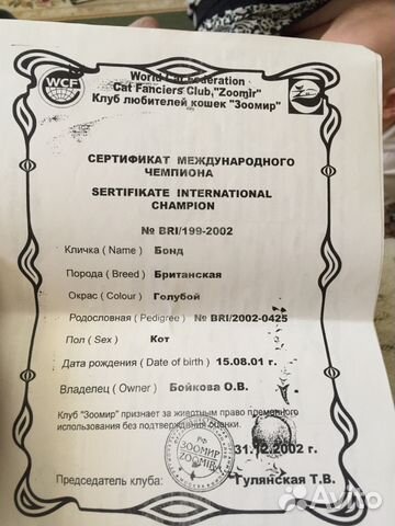 Британский страйт