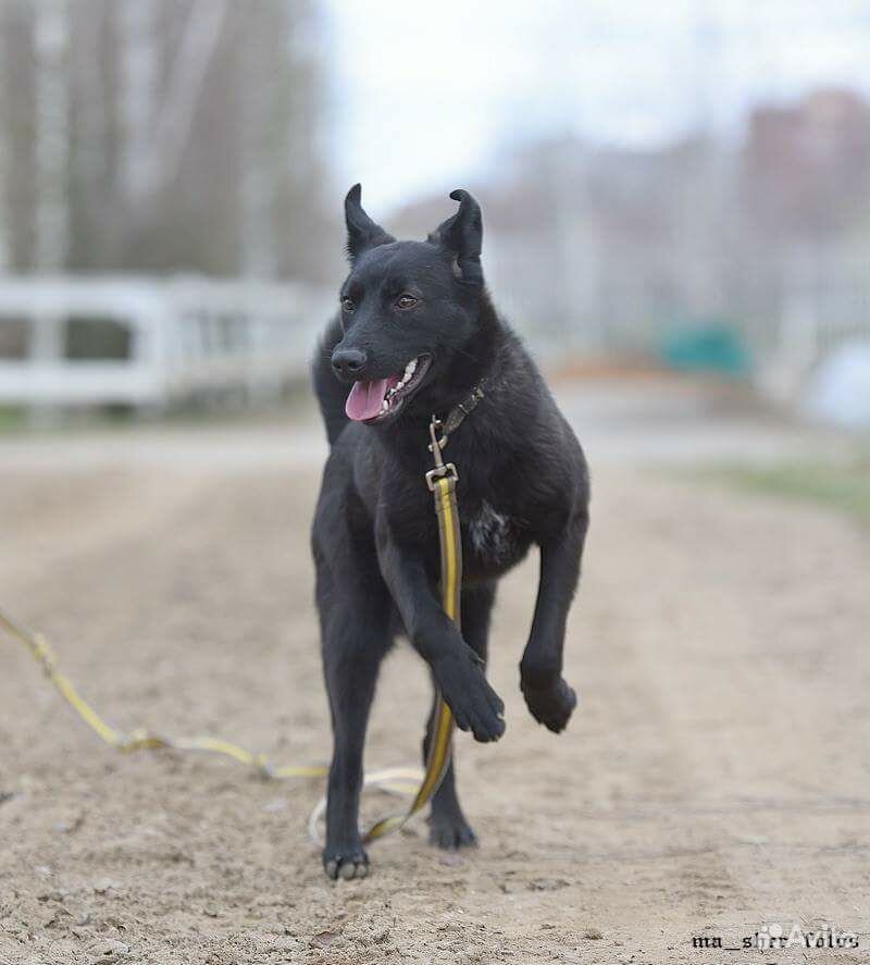 Зарка замечательная молодая девочка