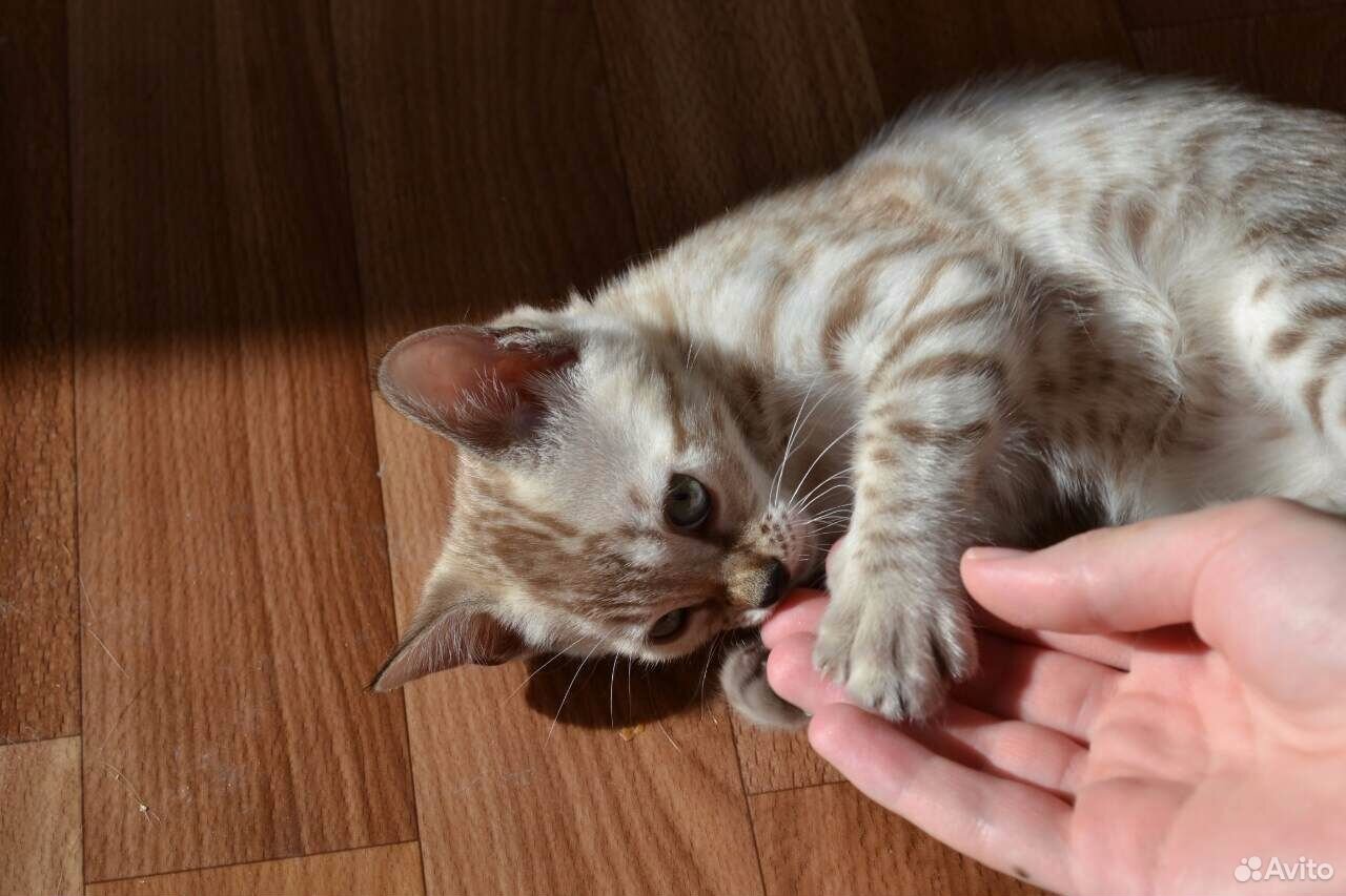 Удивительная