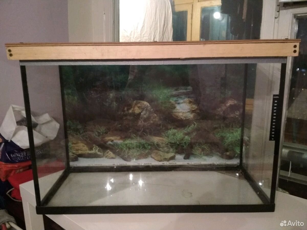 Аквариум, террариум