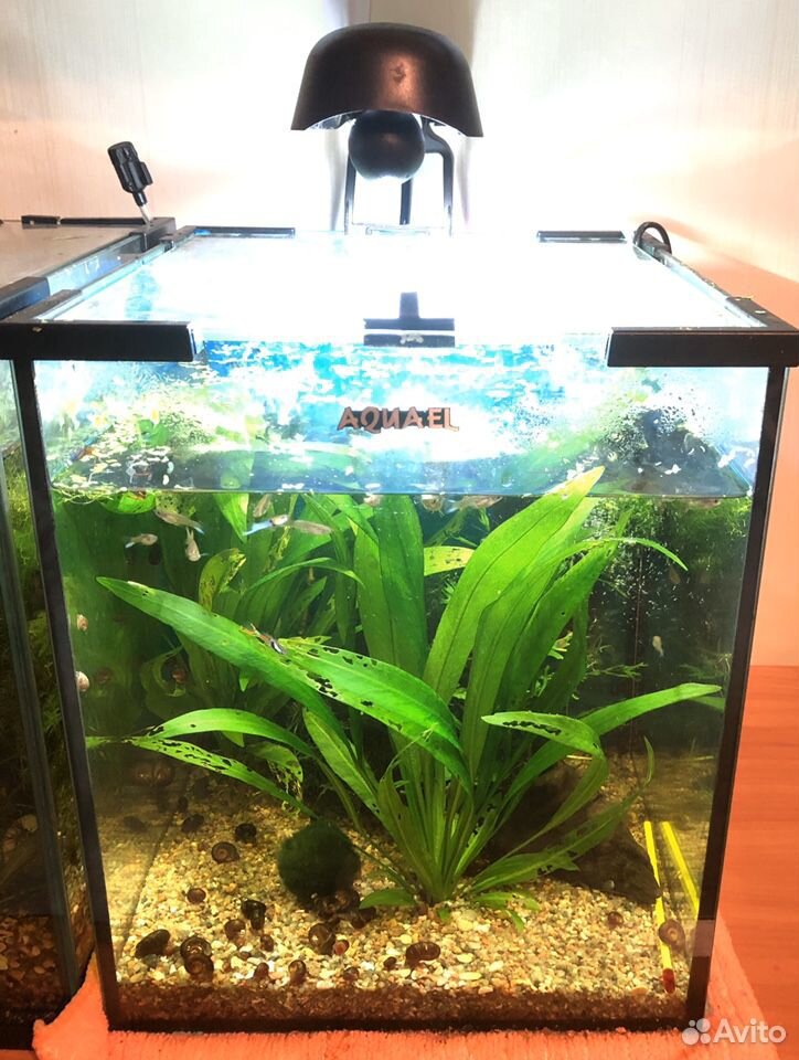 Аквариум кубик акваэль