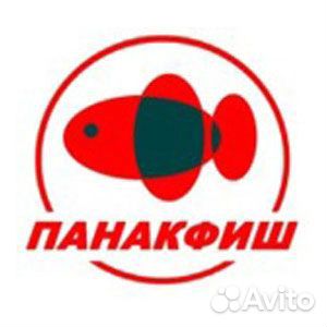 Рыба аквариумная с большой скидкой