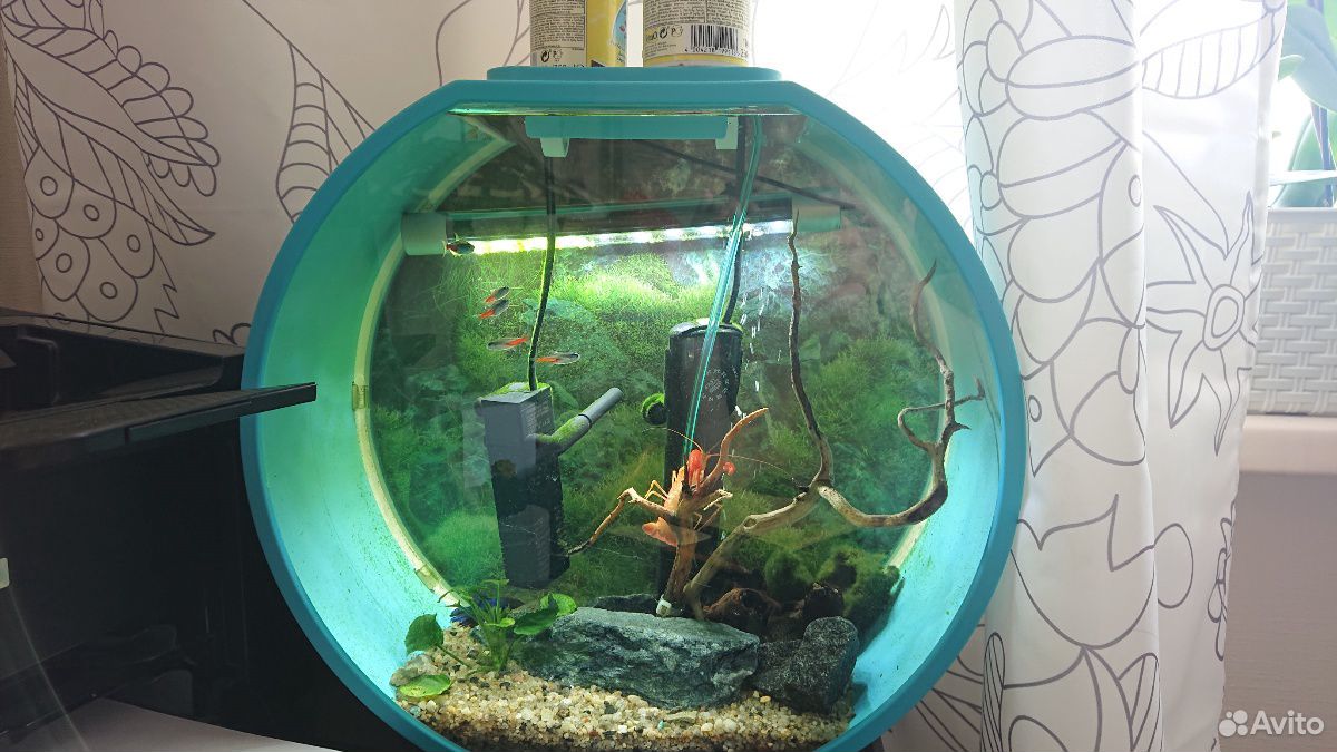 Аквариум nemo 20 литров