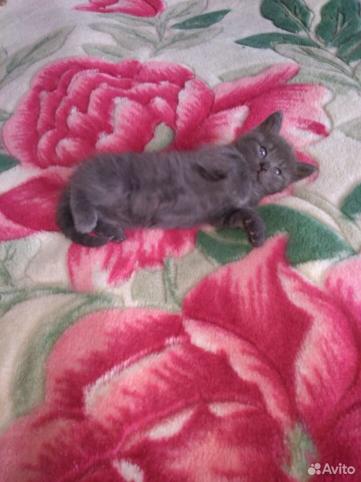 В дар волшебные клубочки