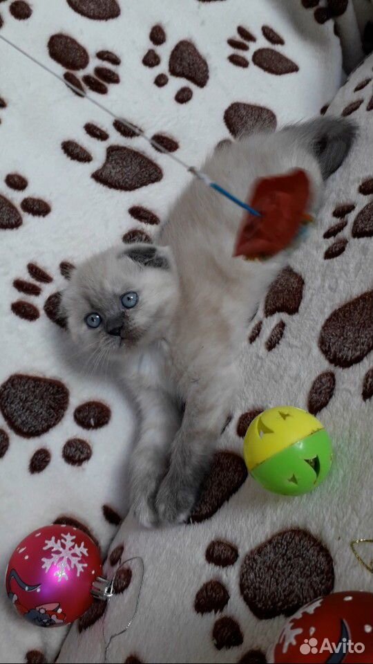 Сладкая булочка