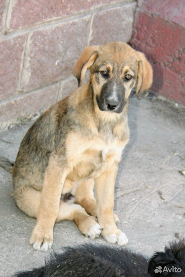 Мальчишка в ответственные руки