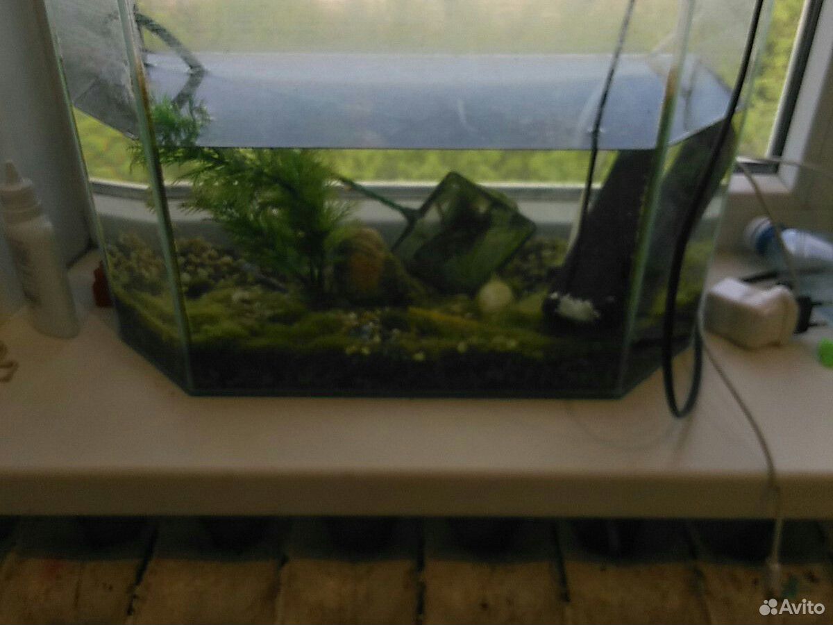 Аквариум