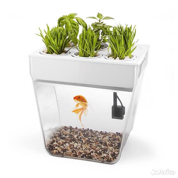 Аквариум (Акваферма) с платформой для выращивания