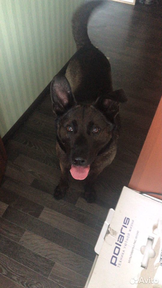 Очень хороший мальчик