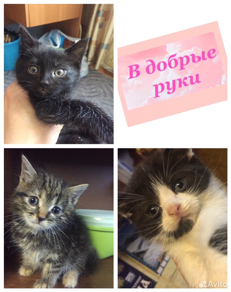 Нам нужен дом