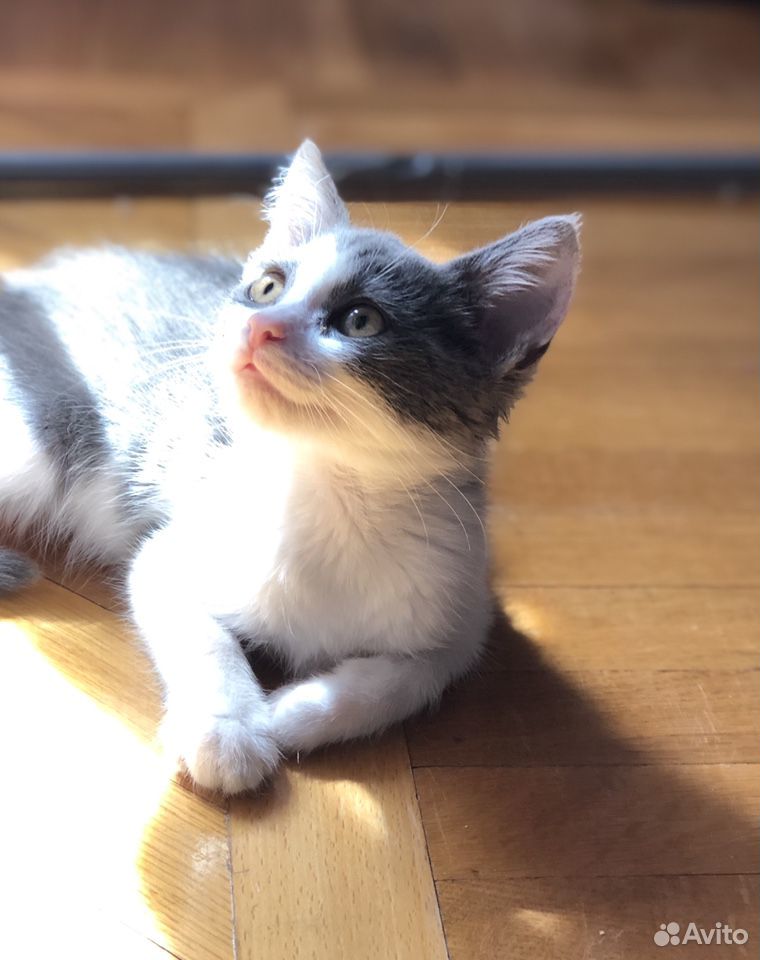 Девочка в надежные руки