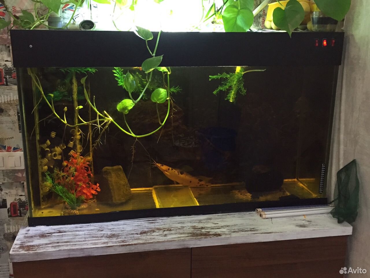 Аквариум 240литров