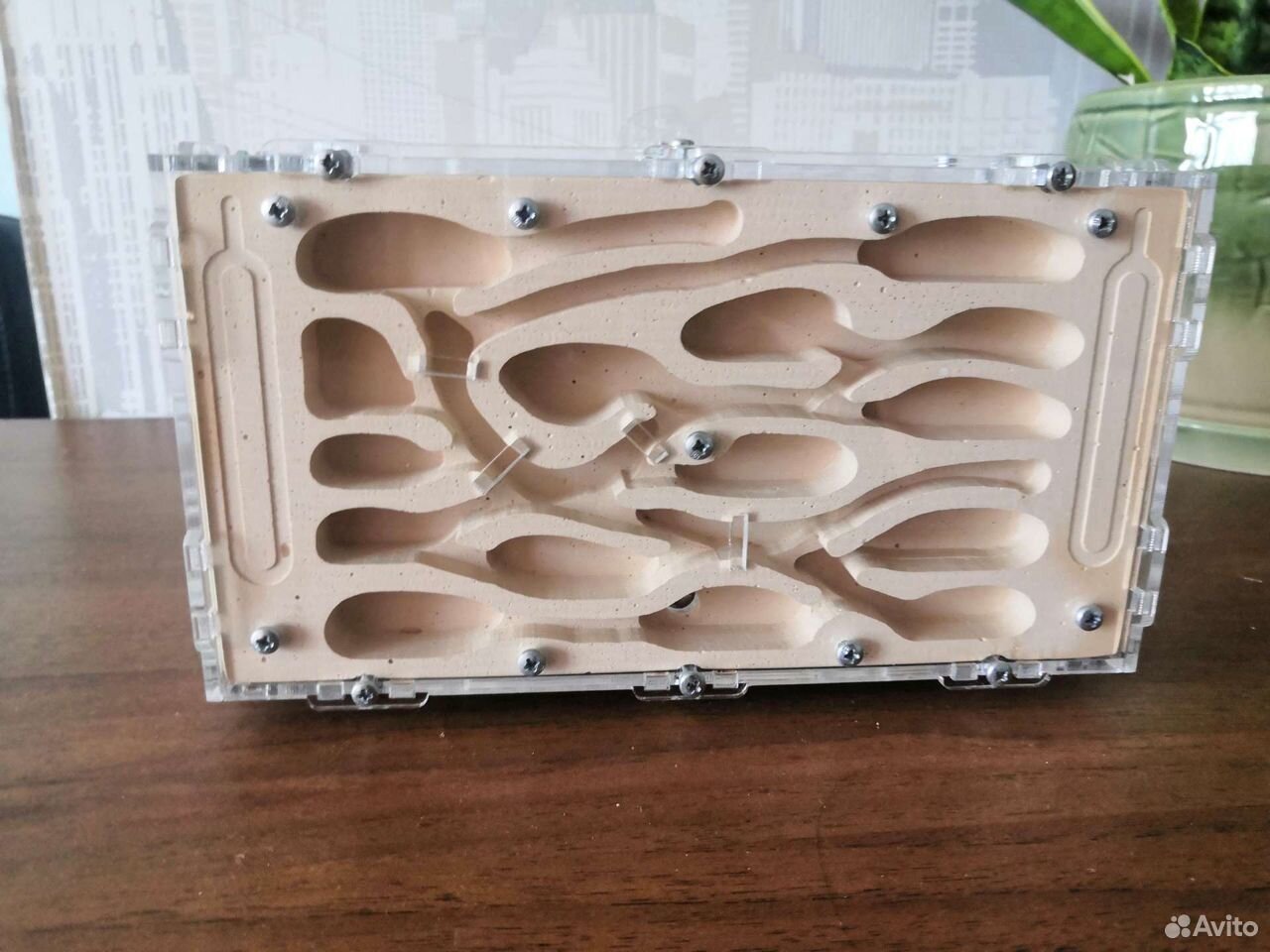 Формикарий без муравьев