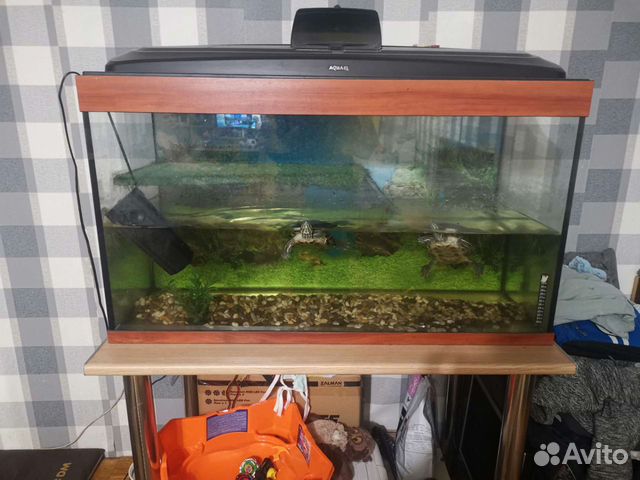 Аквариум со столом