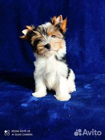 Микро девочка