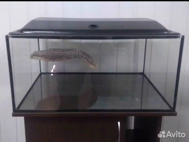 Аквариум для красноухой черепахи 75л. с берегом