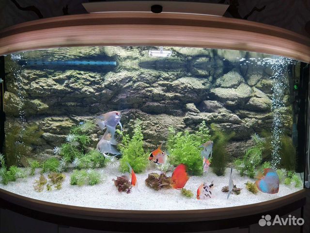 Аквариум с тумбой 300 литров б/у
