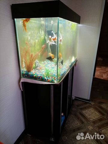 Аквариум с тумбой и рыбками