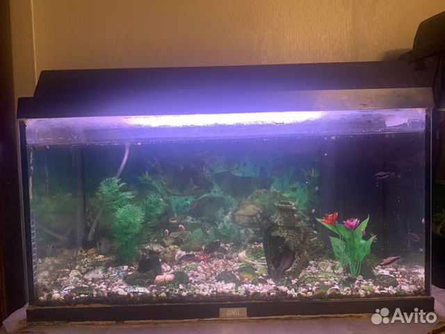 Аквариум