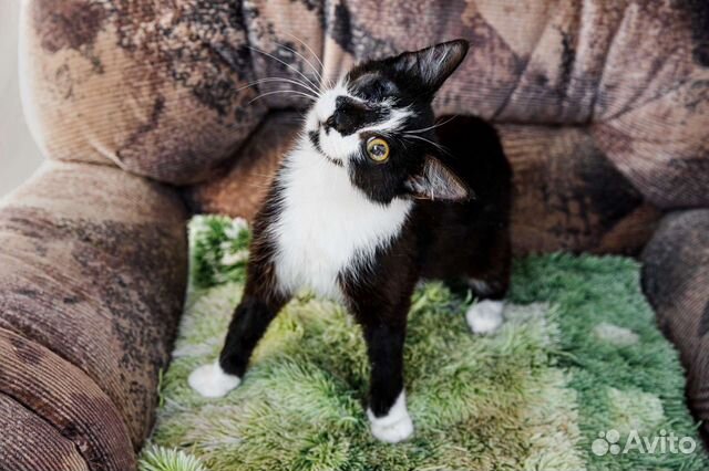 Шейла-слепая девочка