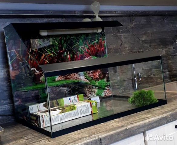 Террариум (аквариум) для черепахи на 70л + подарки