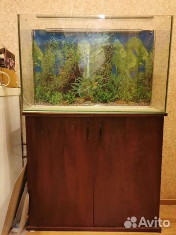 Аквариум с тумбой бу