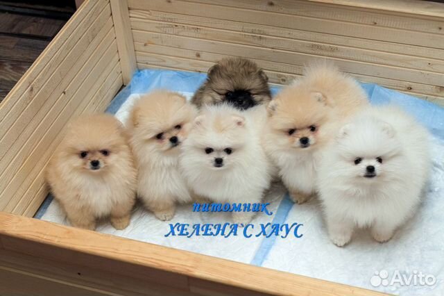 Красивые малыши