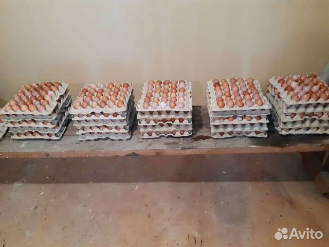 Яйцо куриное