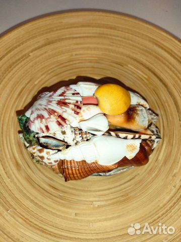 Набор ракушек, раковин на речной перловице