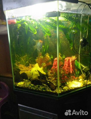 Аквариум