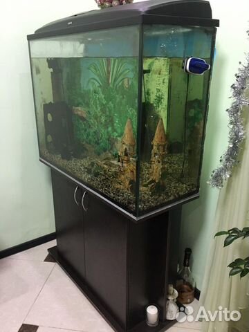 Аквариум с тумбой 300 литров
