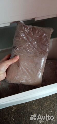 Яйца Артемии из Крыма