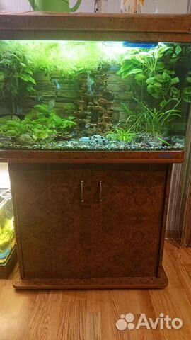 Аквариум jebo. 135л