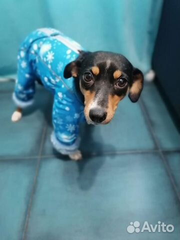 Такса шанс на спасение