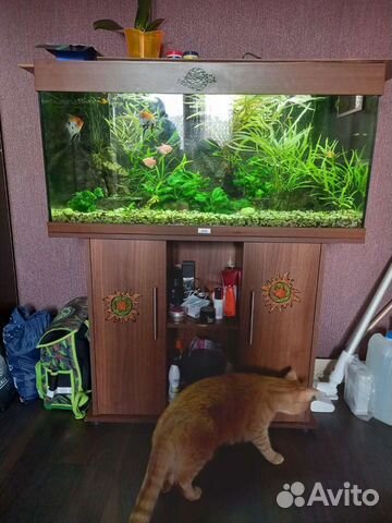 Аквариум с тумбой