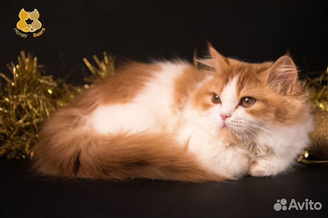 Очаровашка