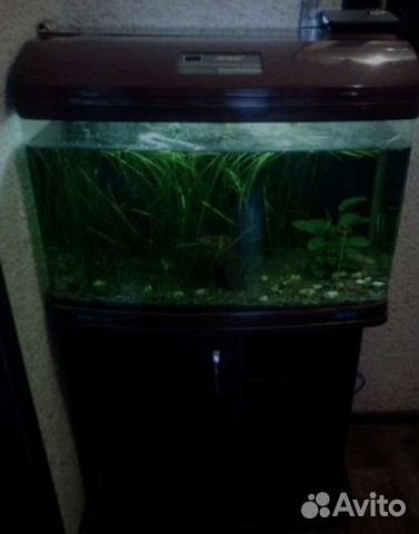 Литой аквариум Jebo на 145Л