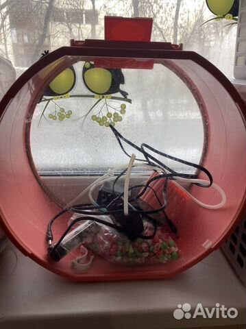 Аквариум disney