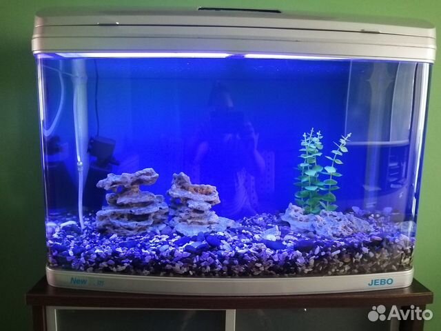 Аквариум