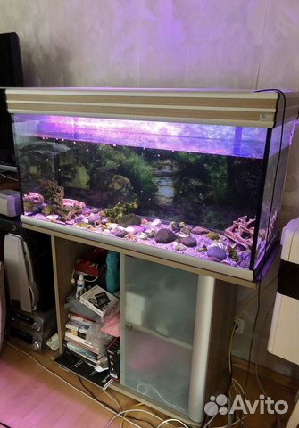 Аквариум с тумбой 200л