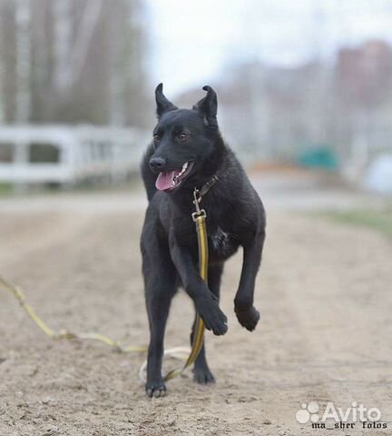 Зарка замечательная молодая девочка