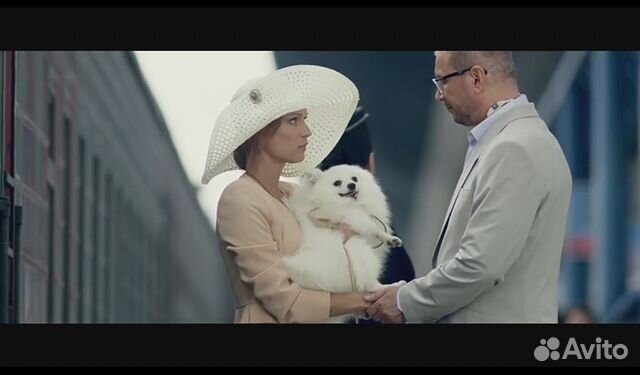 Белые мишки