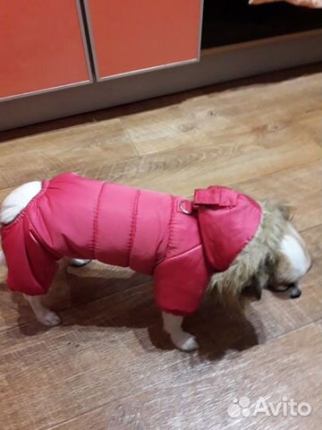 Куртка, зима, осень, теплая, одежда на 20см