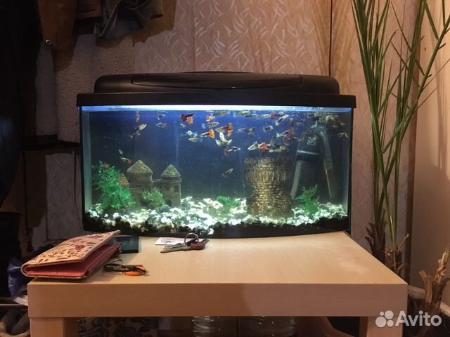 Аквариум Aquael PAO 60 45л