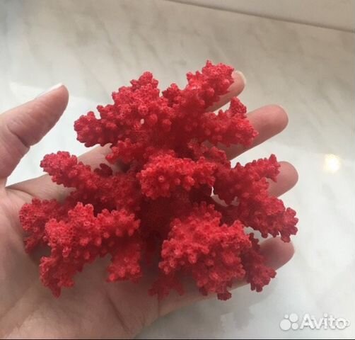 Коралл натуральный крашенный