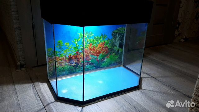Аквариум 70л