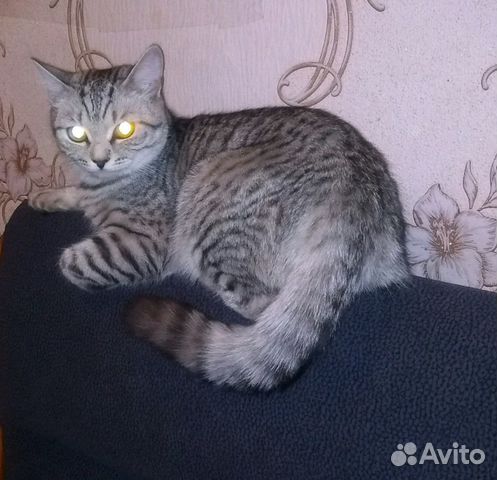 Для вязки