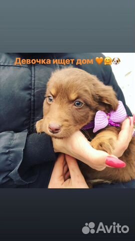 Солнышко в Дар