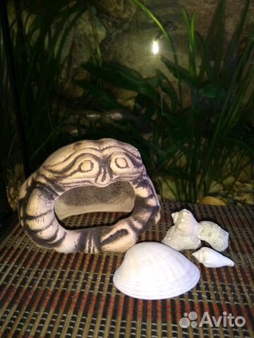 Декор для аквариума или домик для сомика